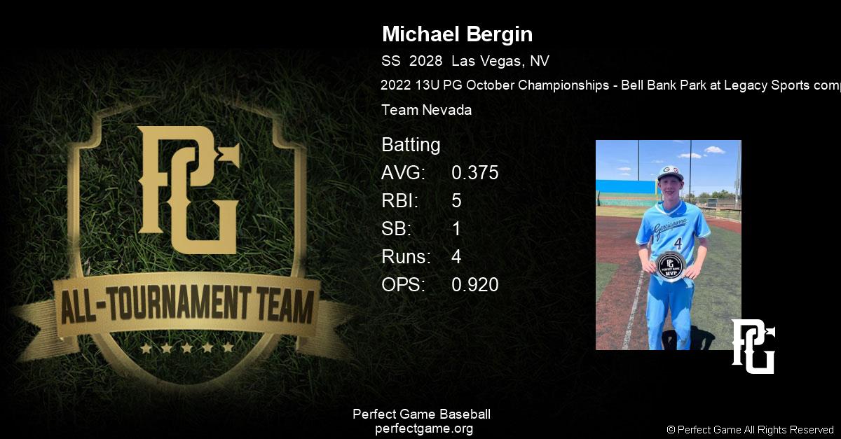 Michael Bergin - All Tournament Team Certificate (Batting) | Perfect ...