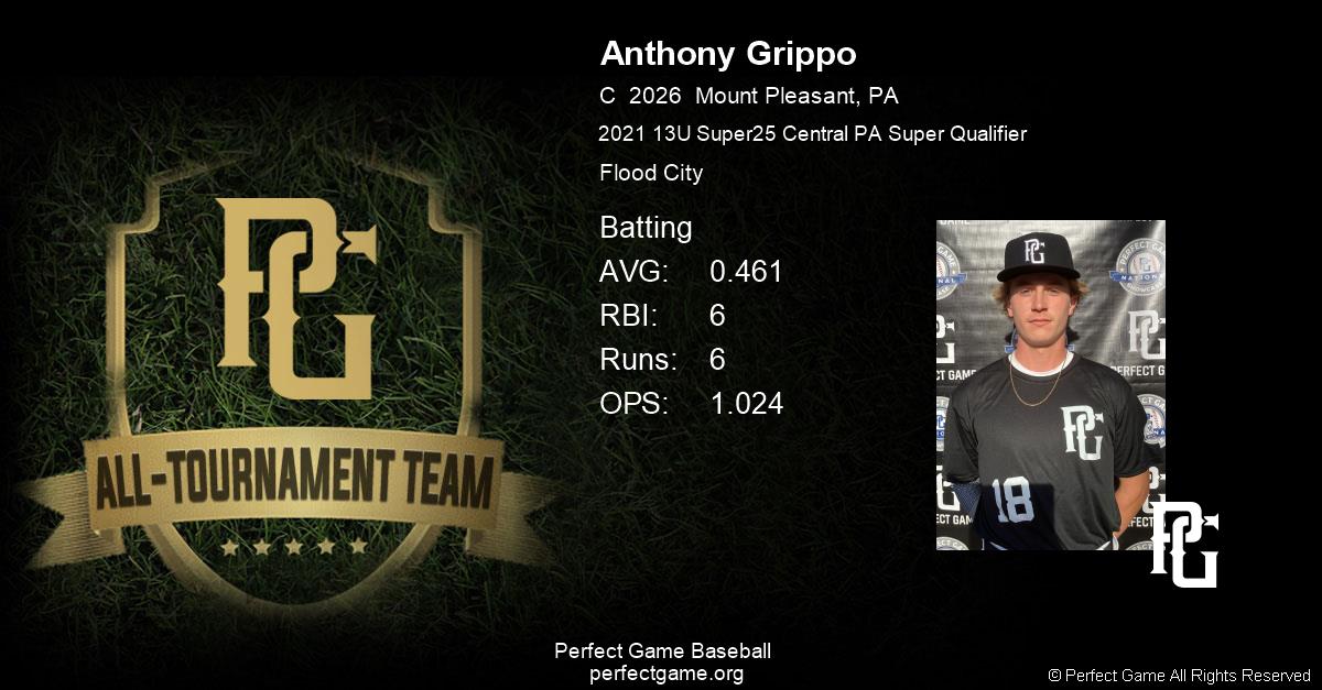 Anthony Grippo - All Tournament Team Certificate (Batting) | Perfect ...